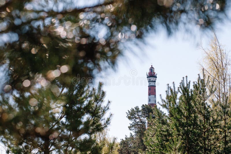 Red and White Lighthouse on the Background of a Blue Sky and Branches ...