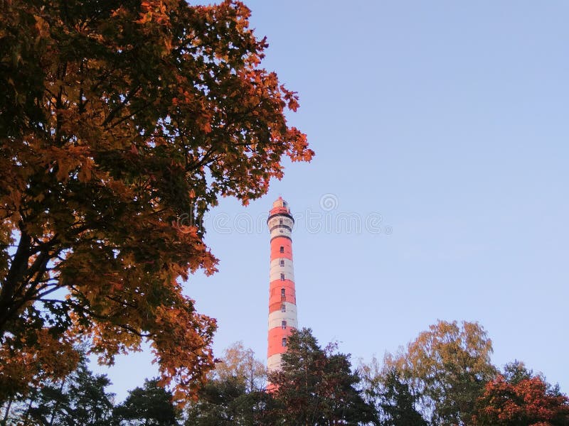 The Red and White Lighthouse is Visible Behind the Branches of the Tree ...