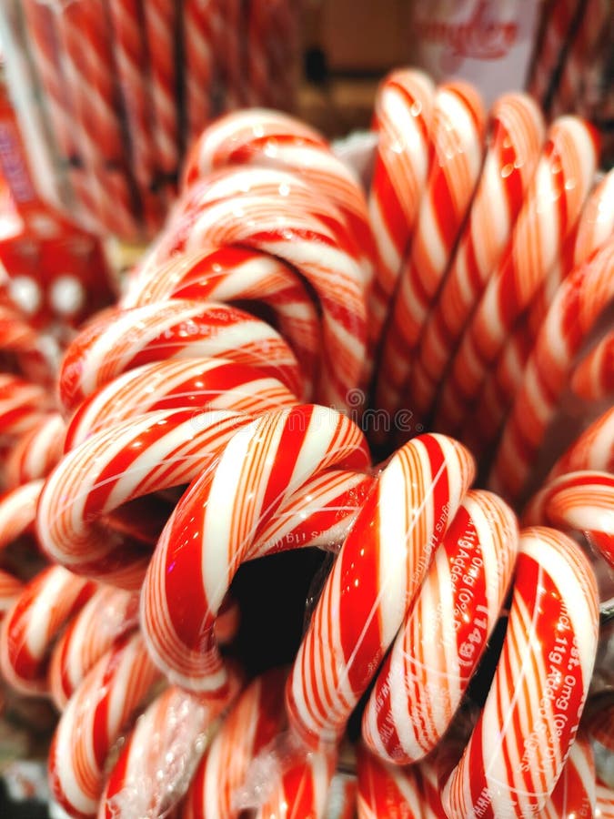 Red and White Mini Candy Canes for Xmas Stock Photo - Image of season ...