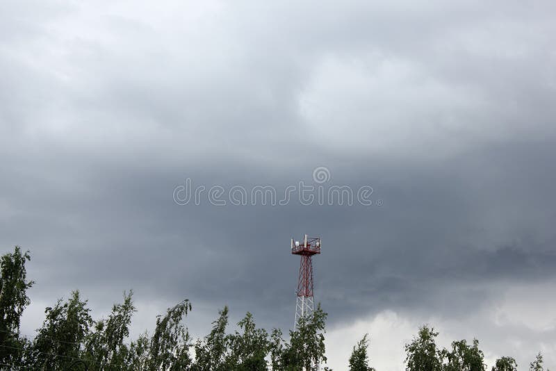 Mobile Tower in the Forest 30743 Stock Photo - Image of communication ...