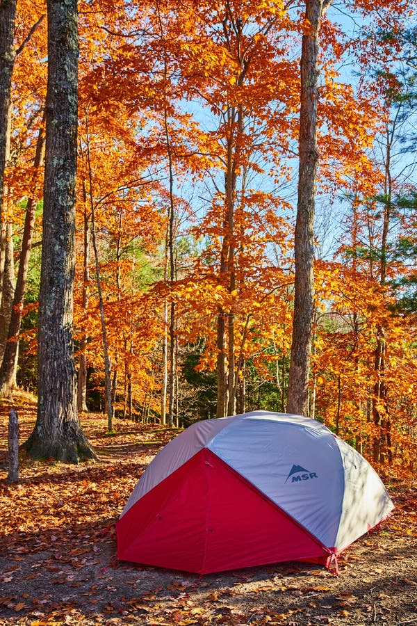 Red and White MSR Camping Tent Set Up on Campsite in Orange Leaf Forest ...