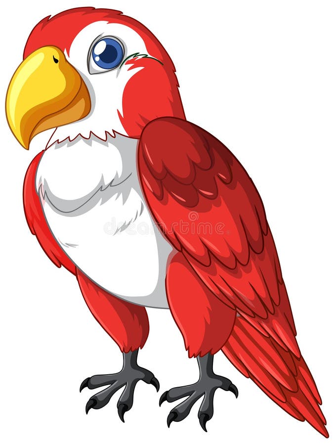 Red and White Parrot Standing Stock Vector - Illustration of colorful ...