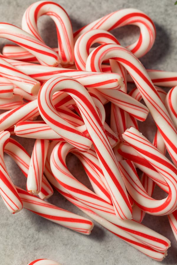 Red and White Peppermint Mini Candycanes Stock Photo - Image of season ...