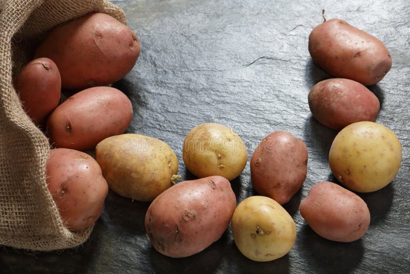Red and White Potatoes from Burlap Sack Stock Image - Image of farming ...