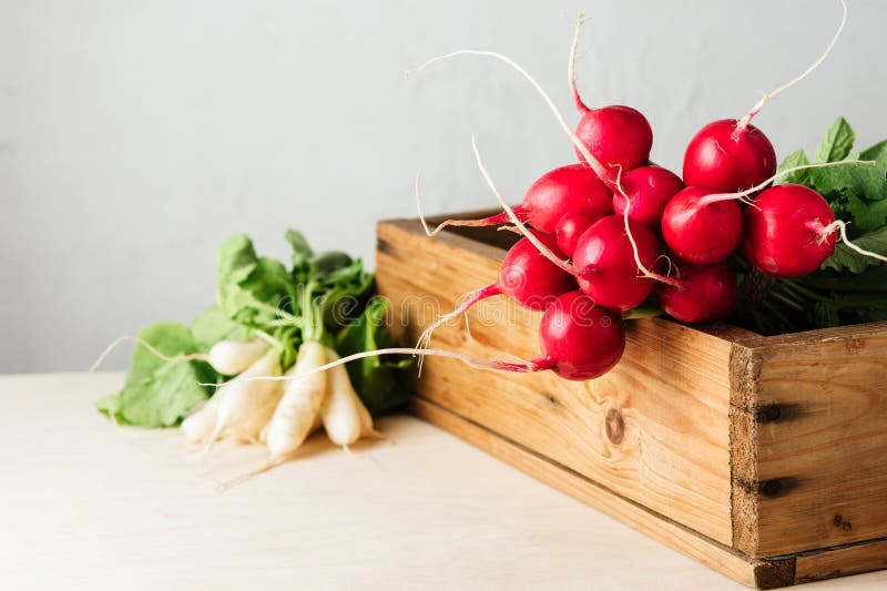 Red and White Radish in a Wooden Box Stock Photo - Image of icicle ...