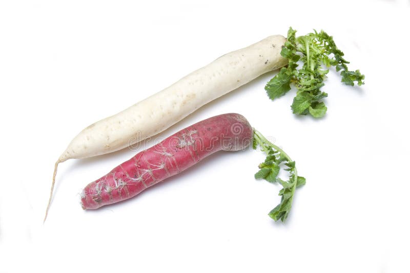 Red and white radishes stock image. Image of flavoring - 6949165