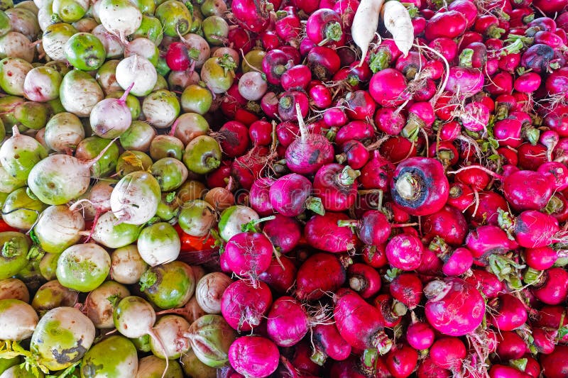 Red and White Radishes on the Market Stall Stock Image - Image of green ...