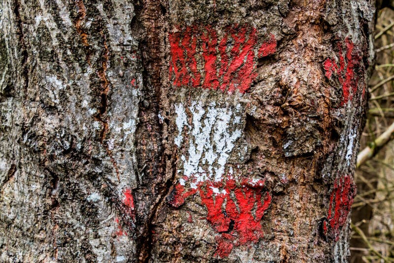 Red white red mark stock image. Image of lane, agriculture - 52519209