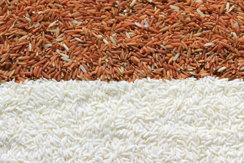Red and white rice grains stock photo. Image of healthy - 25799484