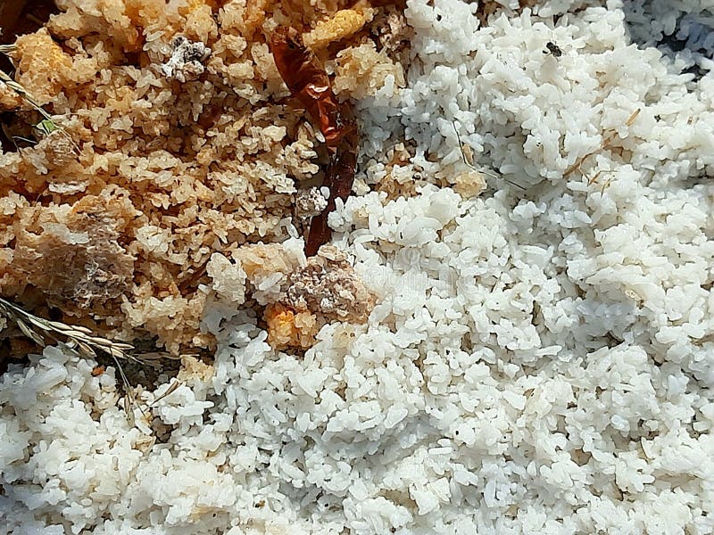 Red and White Rice from Indonesia Stock Photo - Image of bird, rice ...