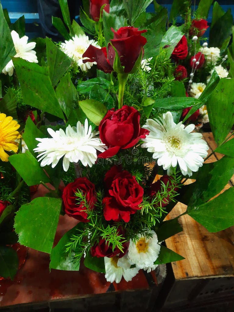 Flower Buke Stock Photos - Free & Royalty-Free Stock Photos from Dreamstime