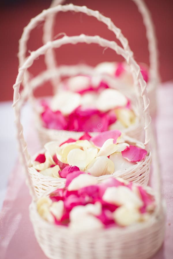 Red and white rose petals stock photo. Image of petals - 28568032