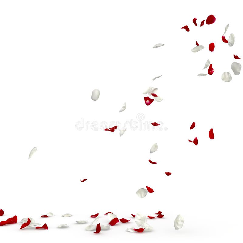 Red and White Rose Petals Fall To the Floor Stock Illustration ...