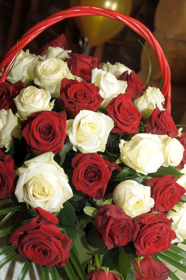 Red and white roses stock image. Image of decorative - 22927907