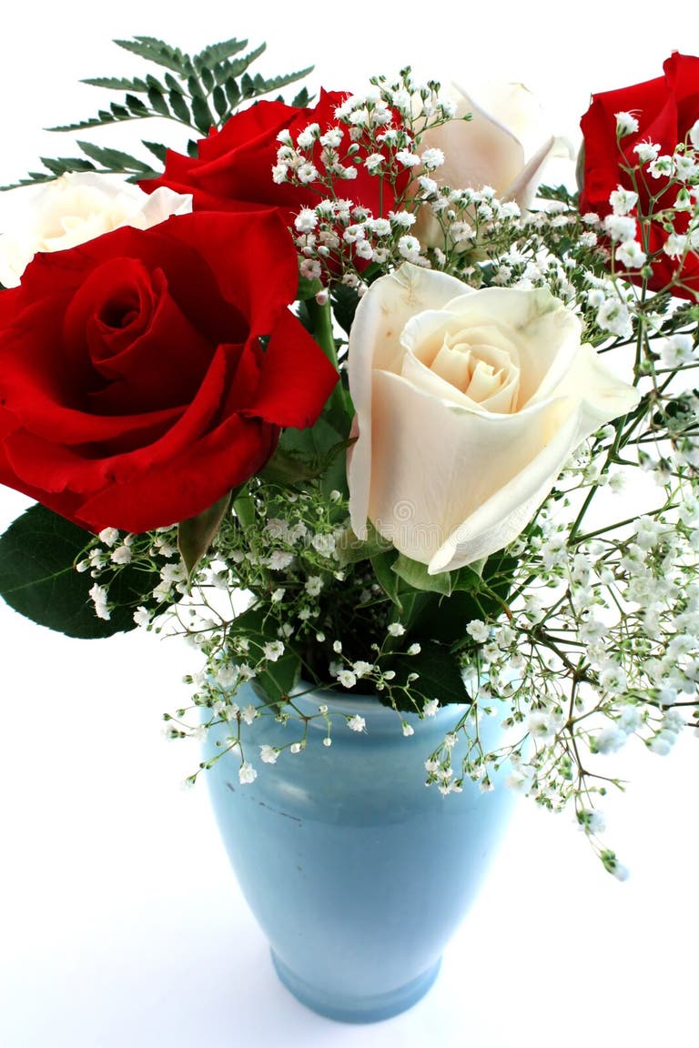 18,941 Red White Blue Roses Stock Photos - Free & Royalty-Free Stock ...