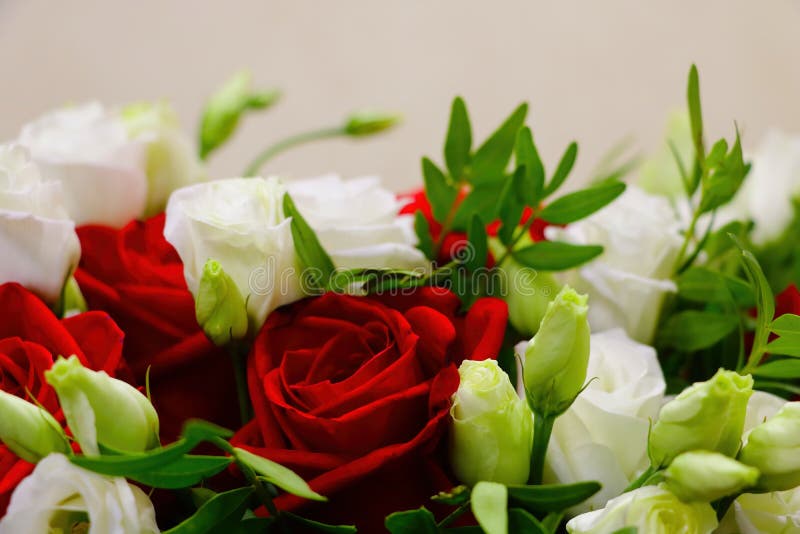 Red and White Roses in a Bouquet, Congratulations on the Holiday. Stock ...