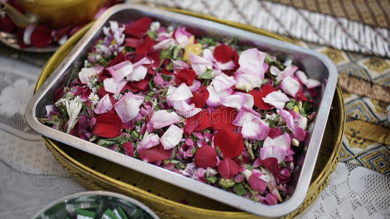 Red and White Roses in a Container Stock Image - Image of petal ...