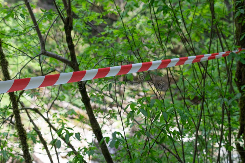 Red White Tape Forest Warning Danger Stock Image - Image of line, woods ...