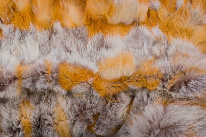 Texture and Background of Red Fox Fur Stock Photo - Image of textile ...