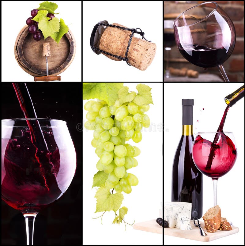 Wine collage stock photo. Image of color, vines, agriculture - 17698862