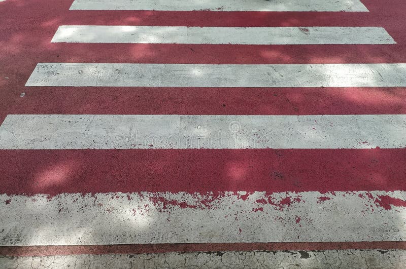 Red and white zebra cross stock photo. Image of design - 222473264