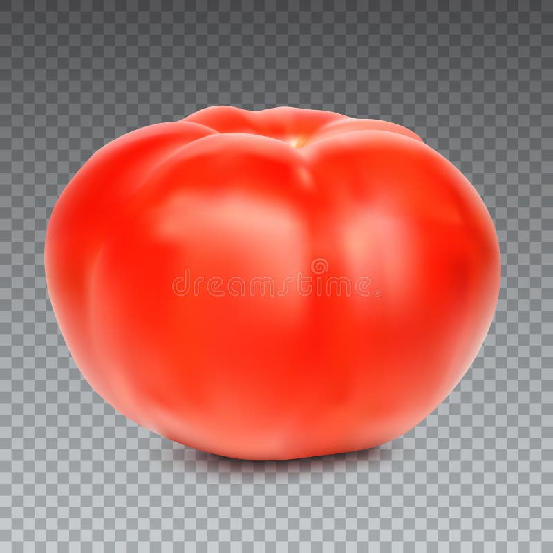Tomato Texture