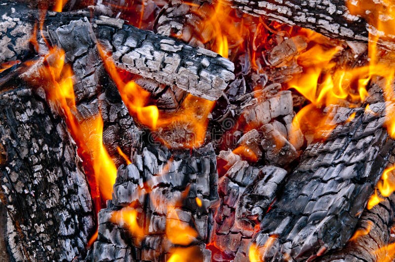 Red wild fire stock photo. Image of blaze, heat, blazing - 43834532