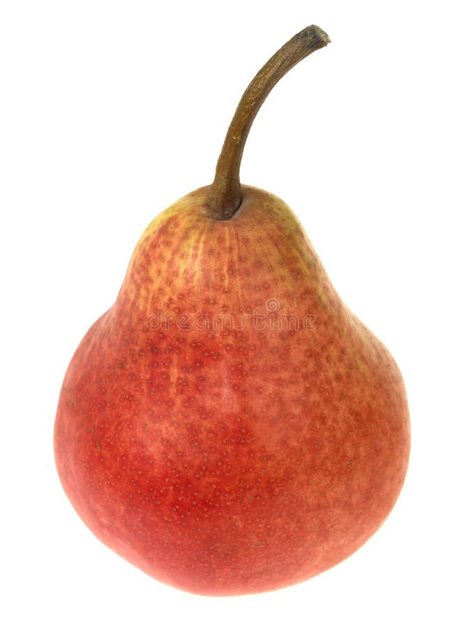 Red Williams Pear stock photo. Image of fruity, agriculture - 24345498