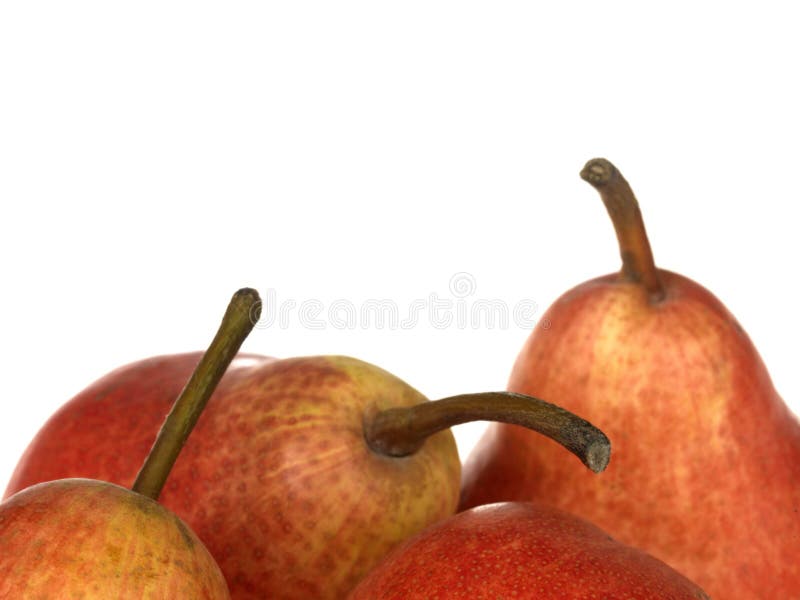 Red Williams Pear stock photo. Image of eating, fresh - 24345506