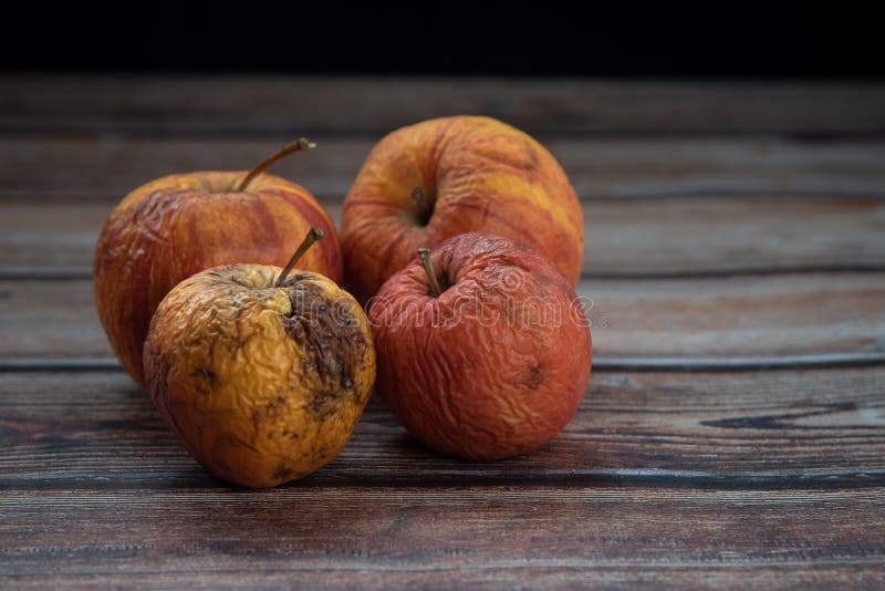 Red Wilted Rotten Apples on a Table. Bacteria Infected Rotten Fruit ...