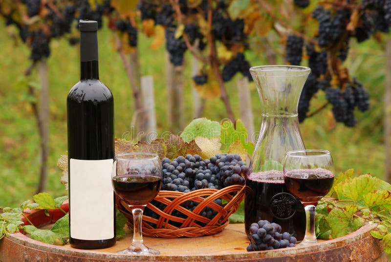 Red wine stock photo. Image of nature, alcohol, leaf - 18511862