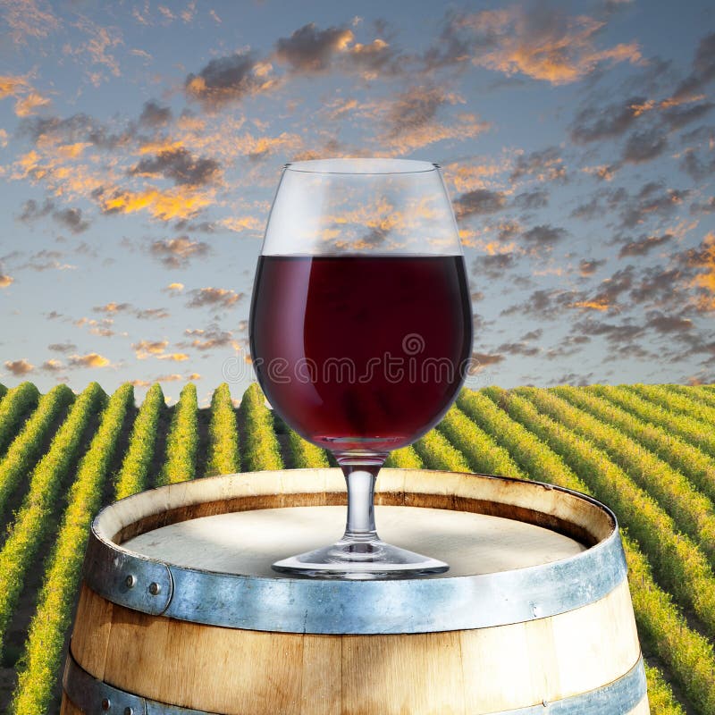 Red Wine on Barrel stock photo. Image of merlot, drop - 44836666