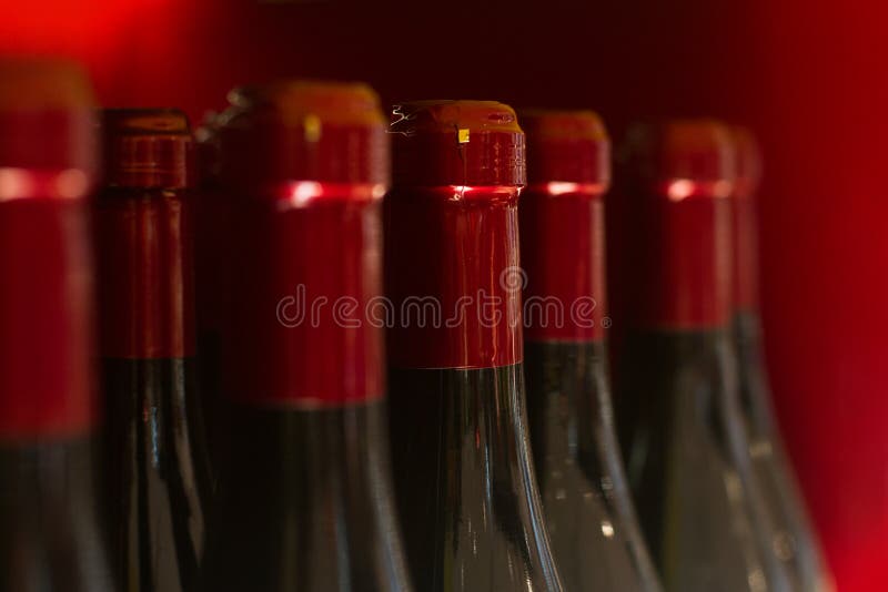 Red wine bottles in store stock photo. Image of perspective - 97884096
