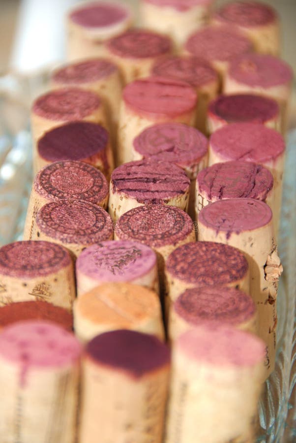 Grape picking stock photo. Image of glaze, decoration - 9988320