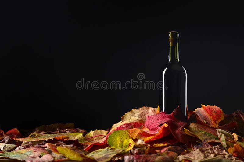 Red Wine and Dry Vine Leaves . Stock Photo - Image of harvest, nature ...