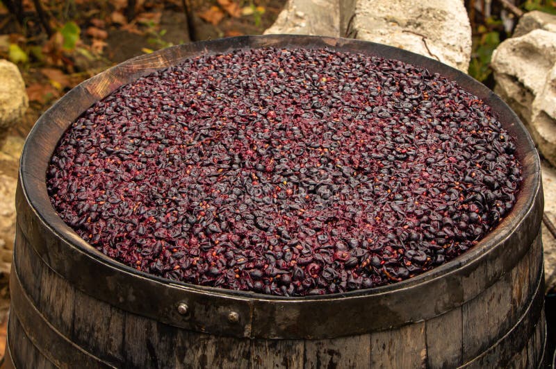 Red Wine Making In Process. Work Mixing Wine In The Process Of ...