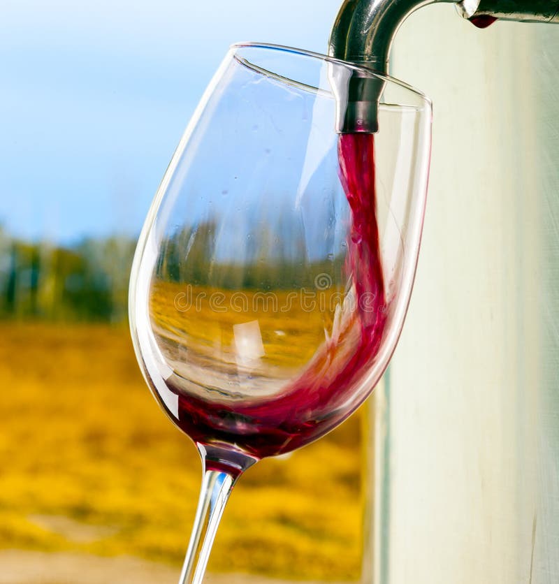 Red wine glass barrel stock photo. Image of still, grape - 147045114