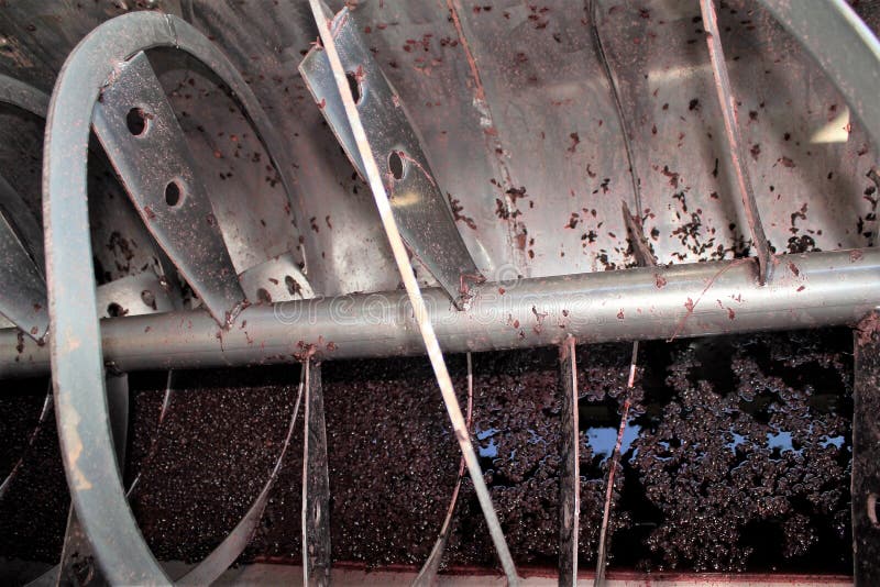 Red Wine Making Process in a Factory Stock Image - Image of gourmet ...