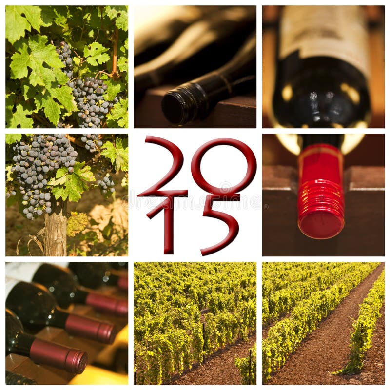 2015 Red Wine Square Photos Stock Photo - Image of holiday, vinery ...