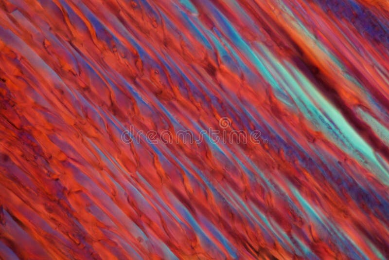Red Wine Under Microscope Stock Photos - Free & Royalty-Free Stock ...