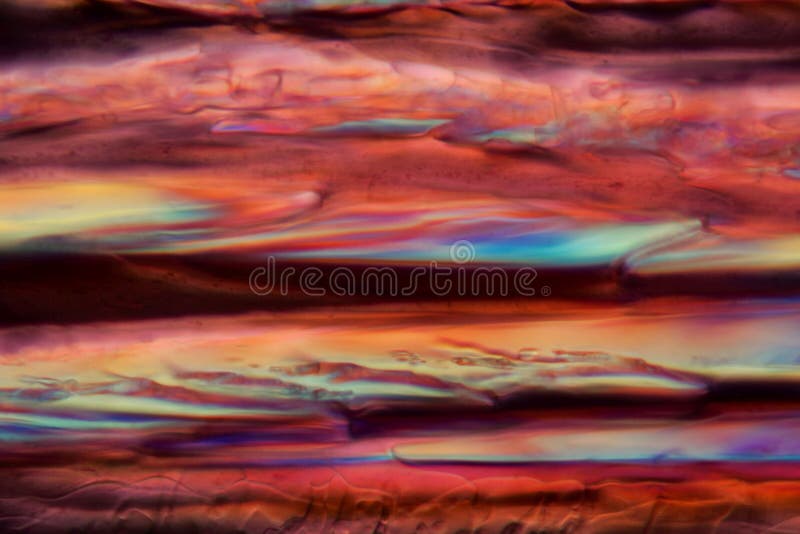 Red Wine Under Microscope Stock Photos - Free & Royalty-Free Stock ...