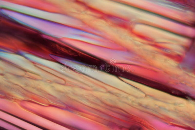 Red Wine Under Microscope Stock Photos - Free & Royalty-Free Stock ...