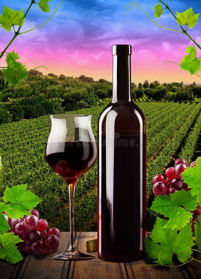126,334 Vineyard Background Stock Photos - Free & Royalty-Free Stock ...