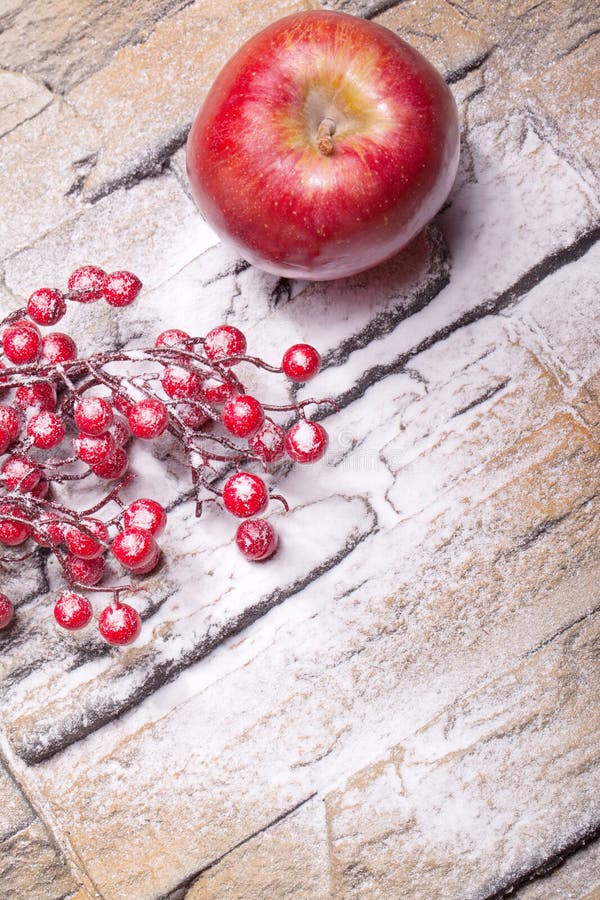 Red Winter Berries and Christmas Apple with Powder Snow Stock Image ...