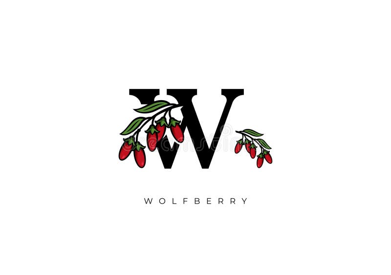 Red WOLFBERRY, GOJI FRUIT Vector, Great Combination of Wolfberry Fruit ...