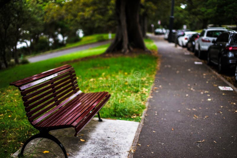 Wooden Bench Under the Tree in the Garden Background. Stock Photo ...