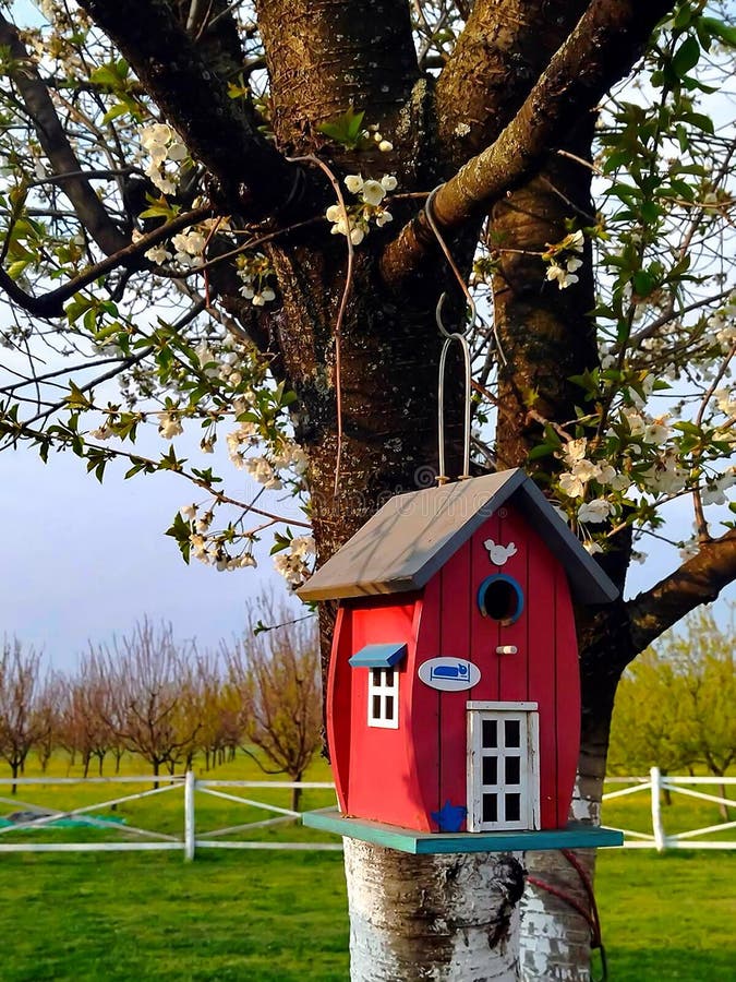 Red Wooden House for Birds Hanging on the Tree Stock Image - Image of ...
