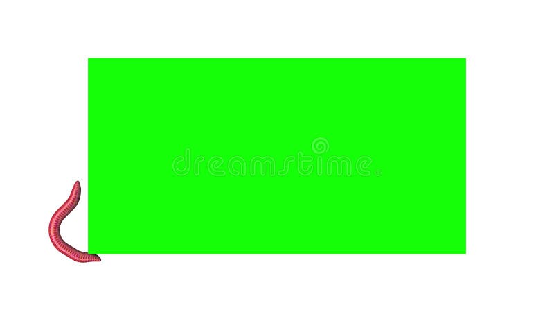 Worm Green Screen Stock Footage & Videos - 247 Stock Videos