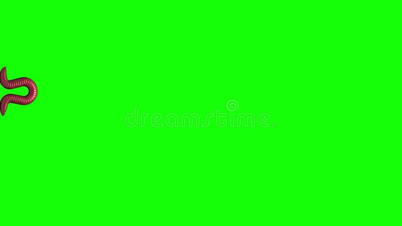 Worm Green Screen Stock Footage & Videos - 247 Stock Videos