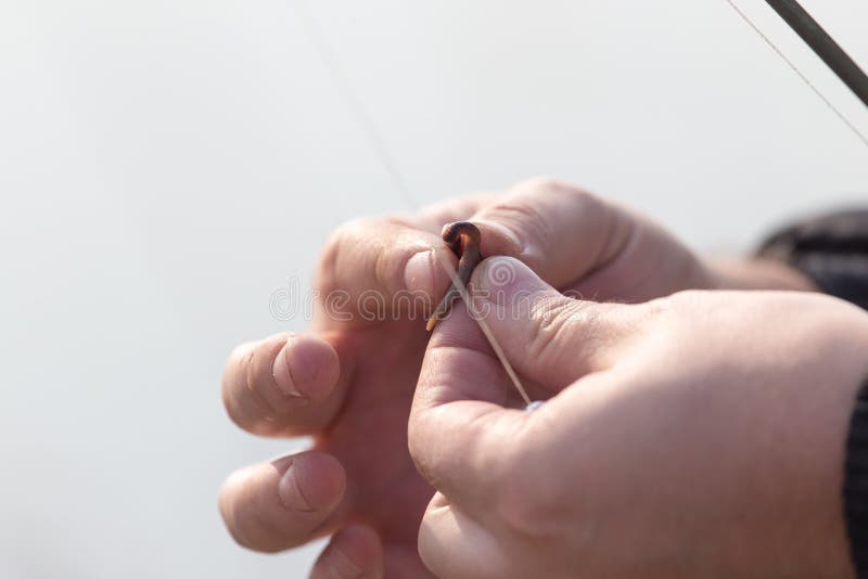 Worm in hand stock image. Image of ugly, animal, larva - 59498543